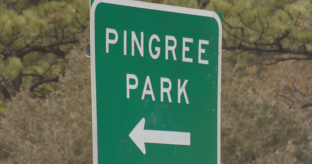 'Names Have Meaning': Task Force Moves To Rename Pingree Park - CBS ...