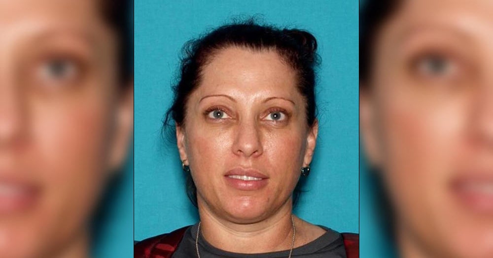 Woman Identified As Person Of Interest In Echo Park Hit And Run That