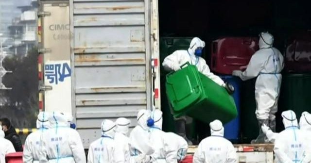 Examining how animal pathogens affect humans - CBS News