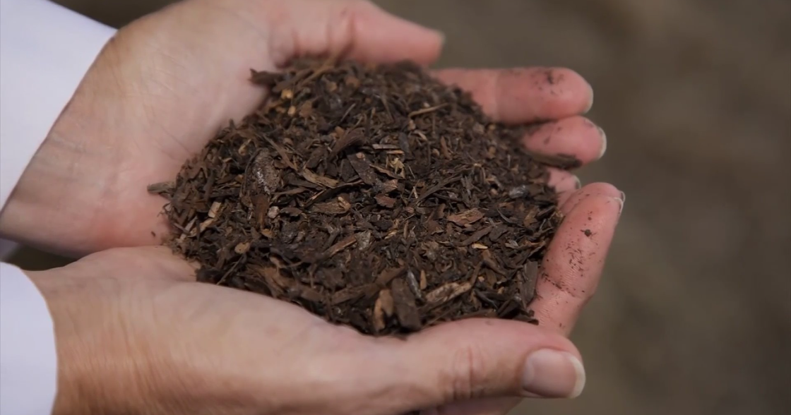 Green Funerals: Companies Now Offering Water Cremation And Body ...