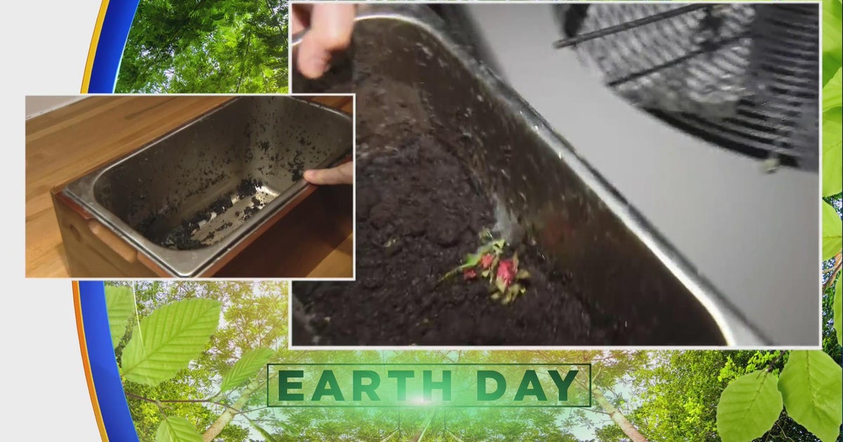 Earth Day tips you need to know to make your home more sustainable ...