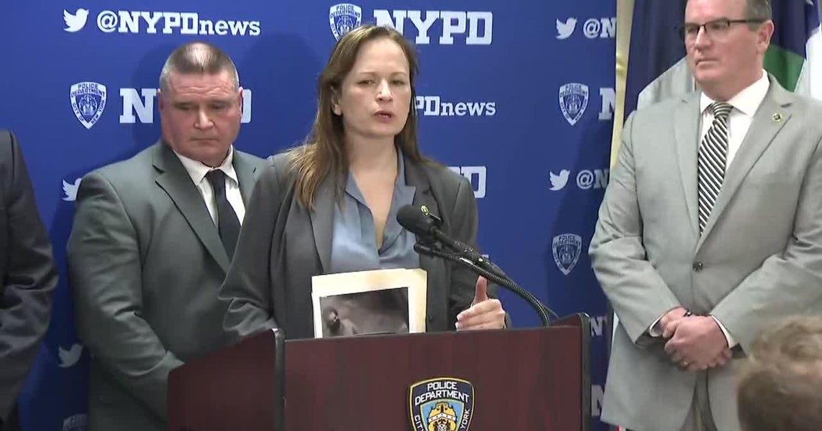 NYPD: Orsolya Gaal's boyfriend David Bonola arrested in brutal murder ...