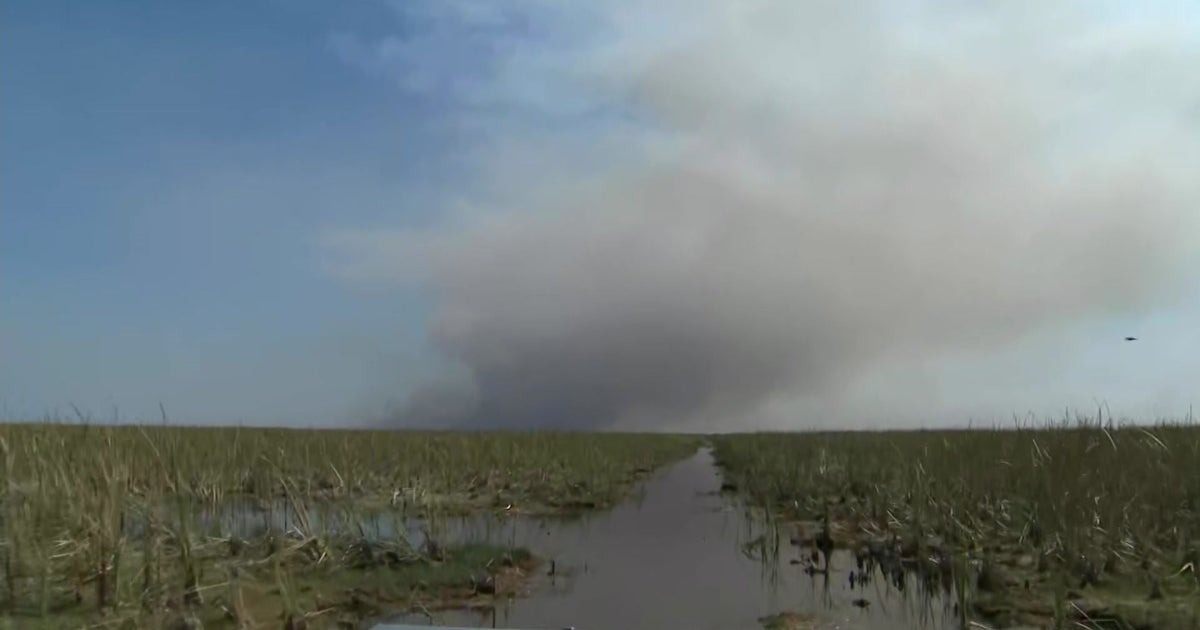 Brush Fires In The Everglades Push Smoke & Ash Over Parts Of Weston ...