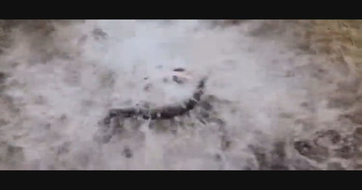 Pelican Pond Stocked With Northern Pike To Combat Carp, Sucker ...