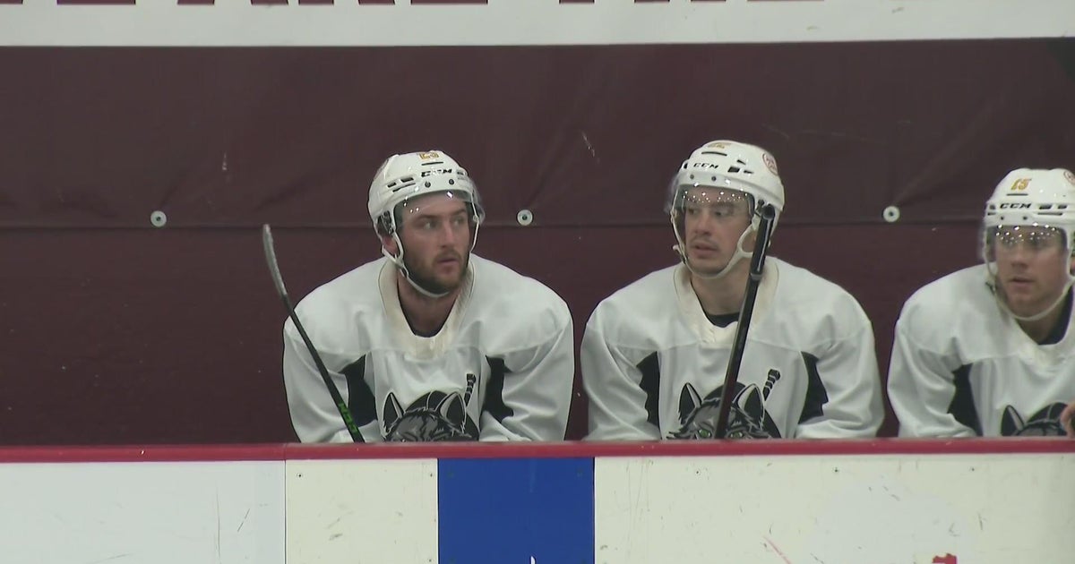 Wolves shut out Springfield Thunderbirds, take Calder Cup Series lead ...