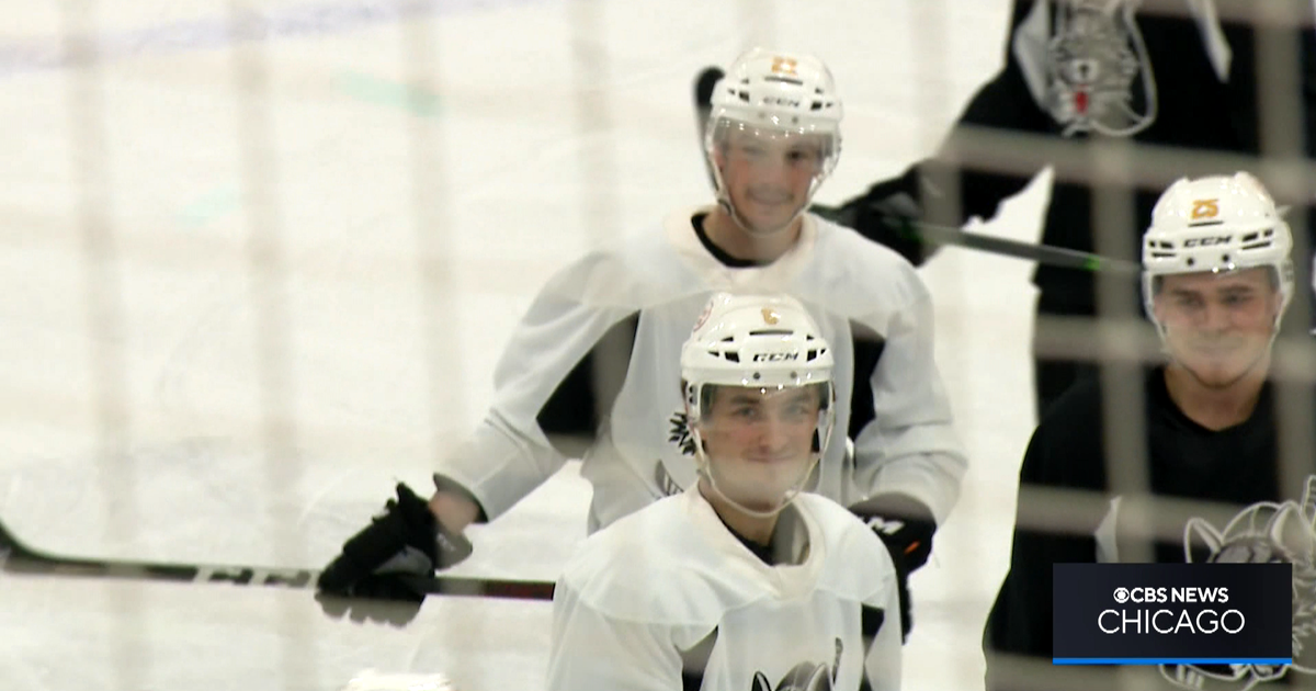 Wolves up 2-0 in AHL Western Conference Finals after beating Stockton ...