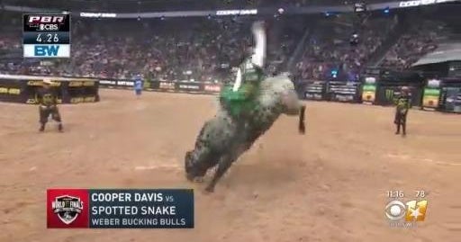 Taking Texas by the horns, PBR Finals expected to thrill this weekend ...