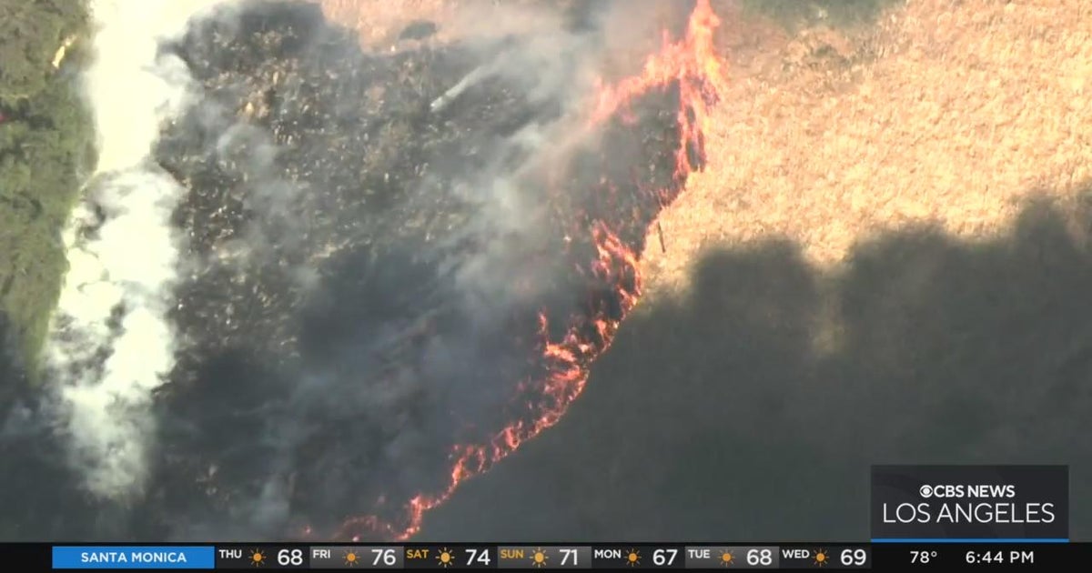 Brush fire burning near homes in San Pedro - CBS Los Angeles