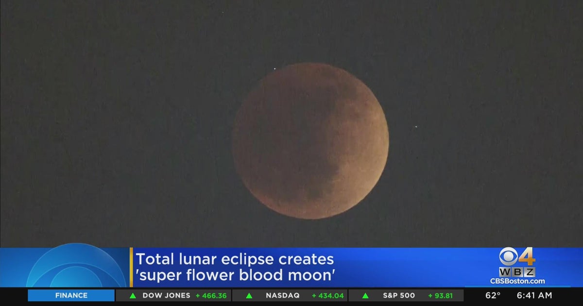Total Lunar Eclipse Creates 'Super Flower Blood Moon' - CBS Boston