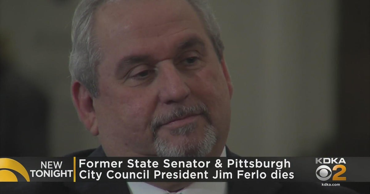 Former State Senator and Pittsburgh City Council President Jim Ferlo ...