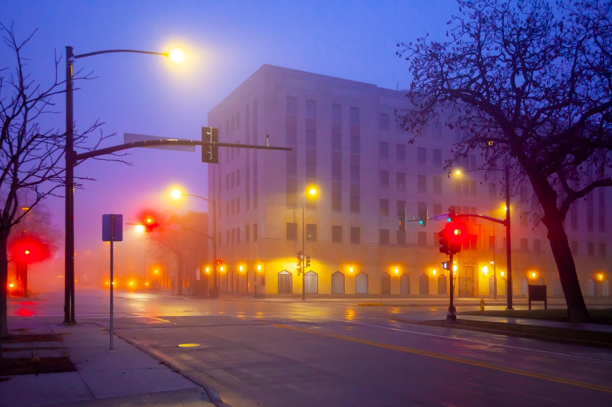 America's 50 most rat-infested cities, ranked
