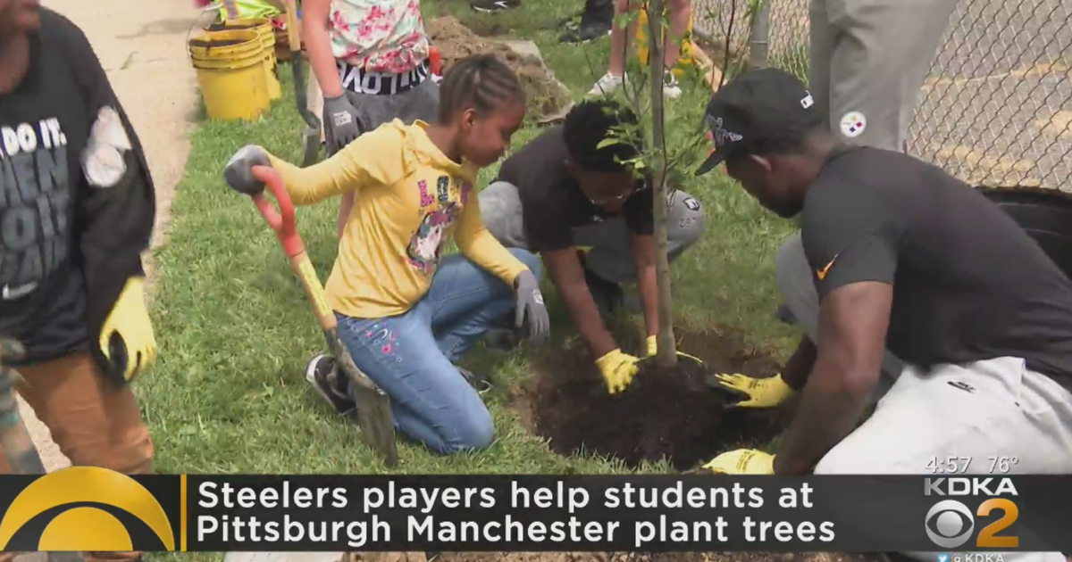 Steelers help Pittsburgh Manchester students plant trees around their ...