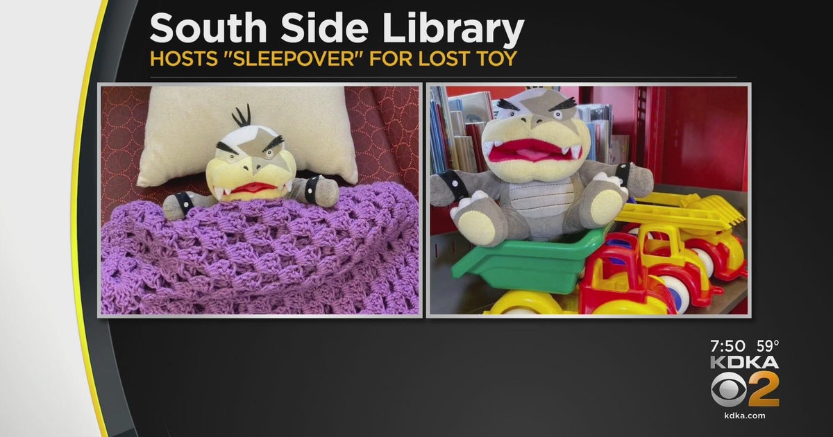 Young boy reunited with lost toy - CBS Pittsburgh