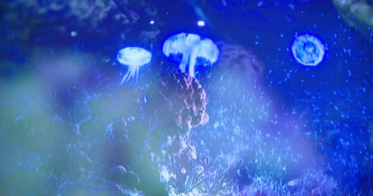 'Hidden Worlds': An immersive voyage into deepest oceans & mesmerizing ...