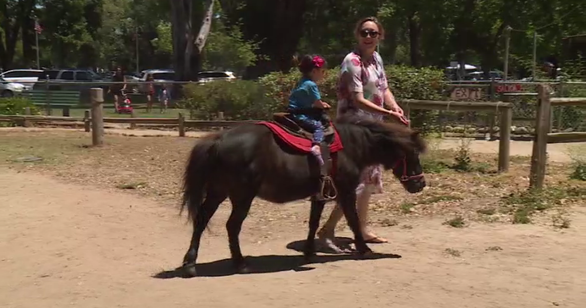 Beloved Land Park Pony Rides Closes After 37 Years In Business - CBS ...