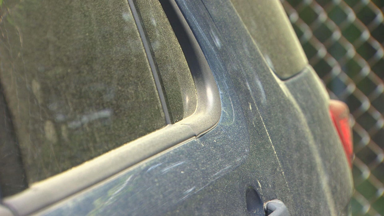 Pollen is back, but why does it seem so bad this year? - CBS Boston