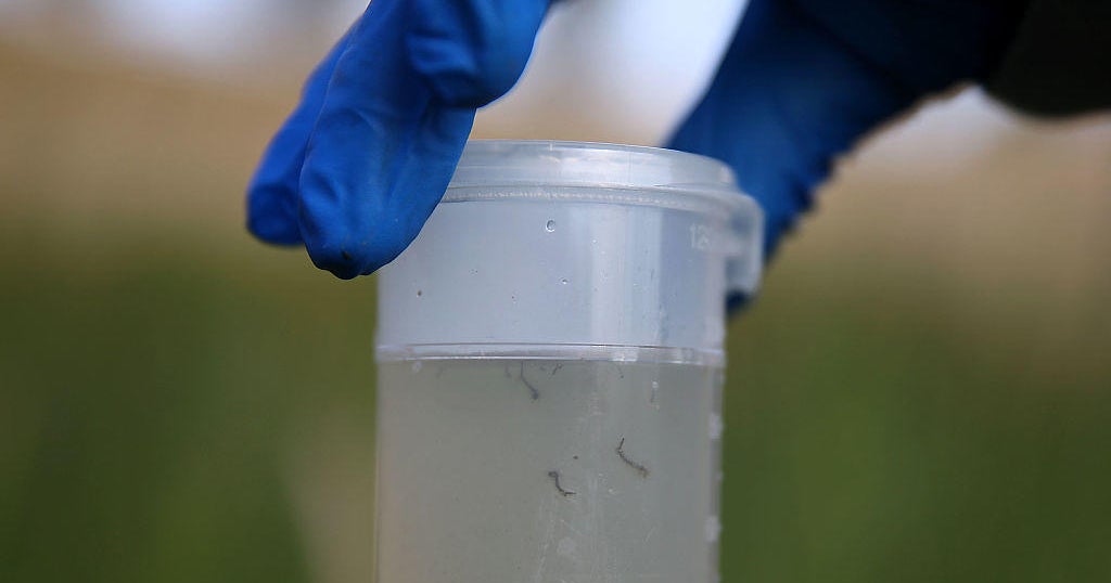 34 additional West Nile mosquito samples found in LACo Vector District ...