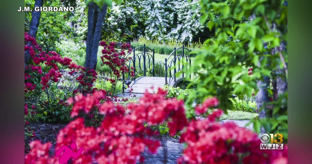 Eats & Sweets Cafe Begins Serving Sandwiches And Treats At Ladew ...