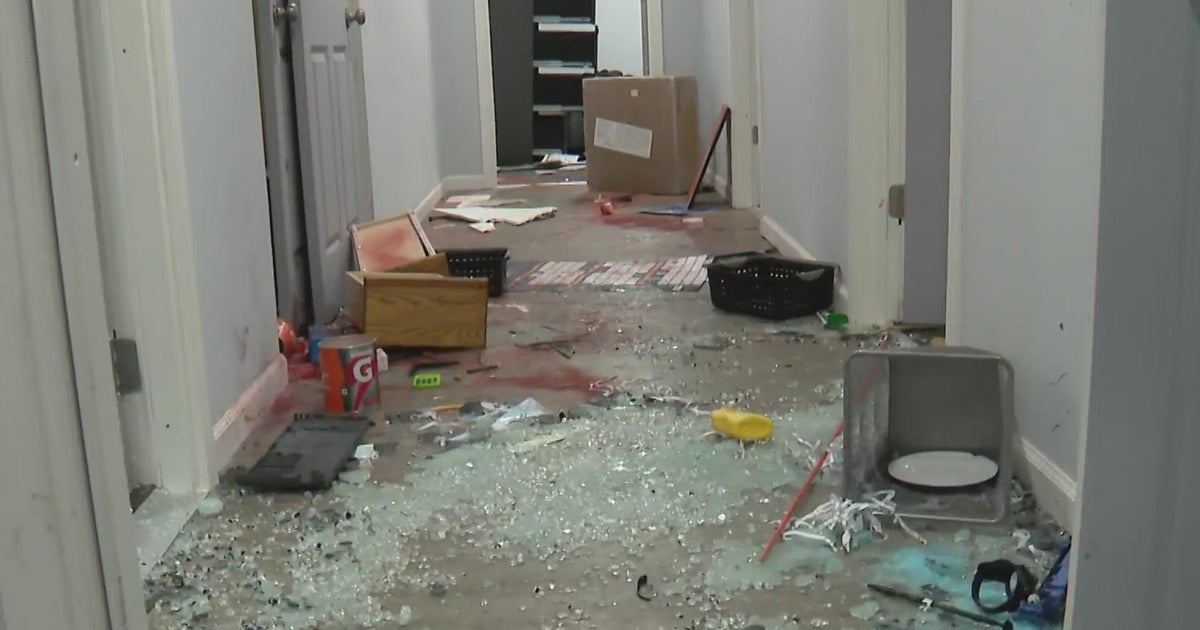 Cook County Sheriff's Office releases photos of vandals who wrecked ...