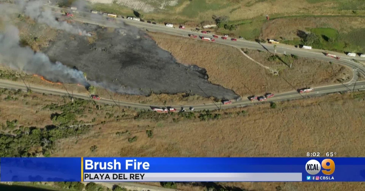 Firefighters knock down brush fire in Playa Del Rey - CBS Los Angeles