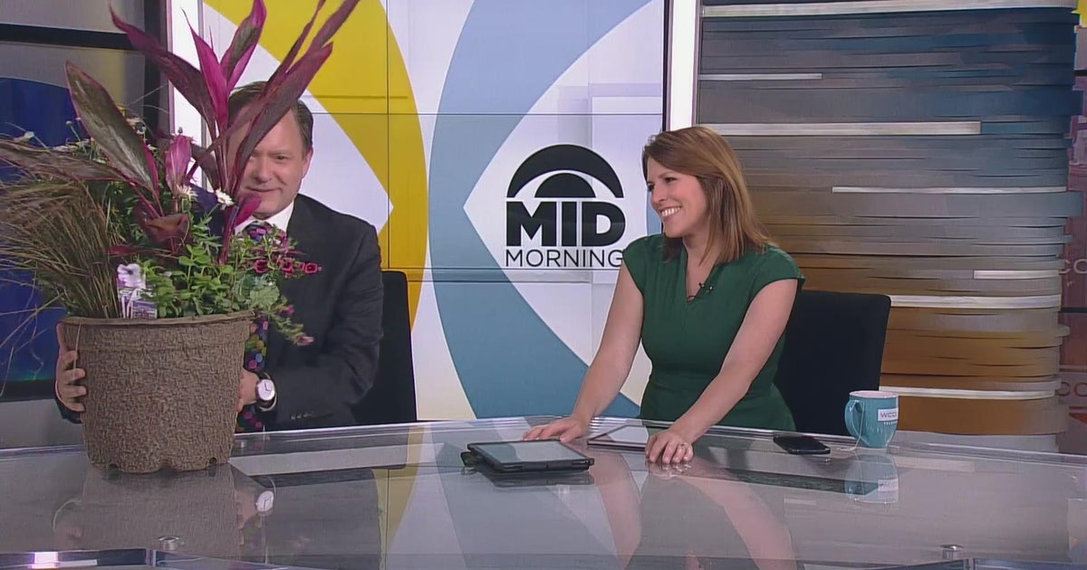 That's quite a plant, Jason! - CBS Minnesota