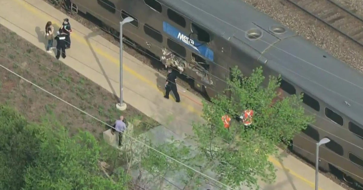 Family of woman killed while riding Metra files wrongful death lawsuit ...
