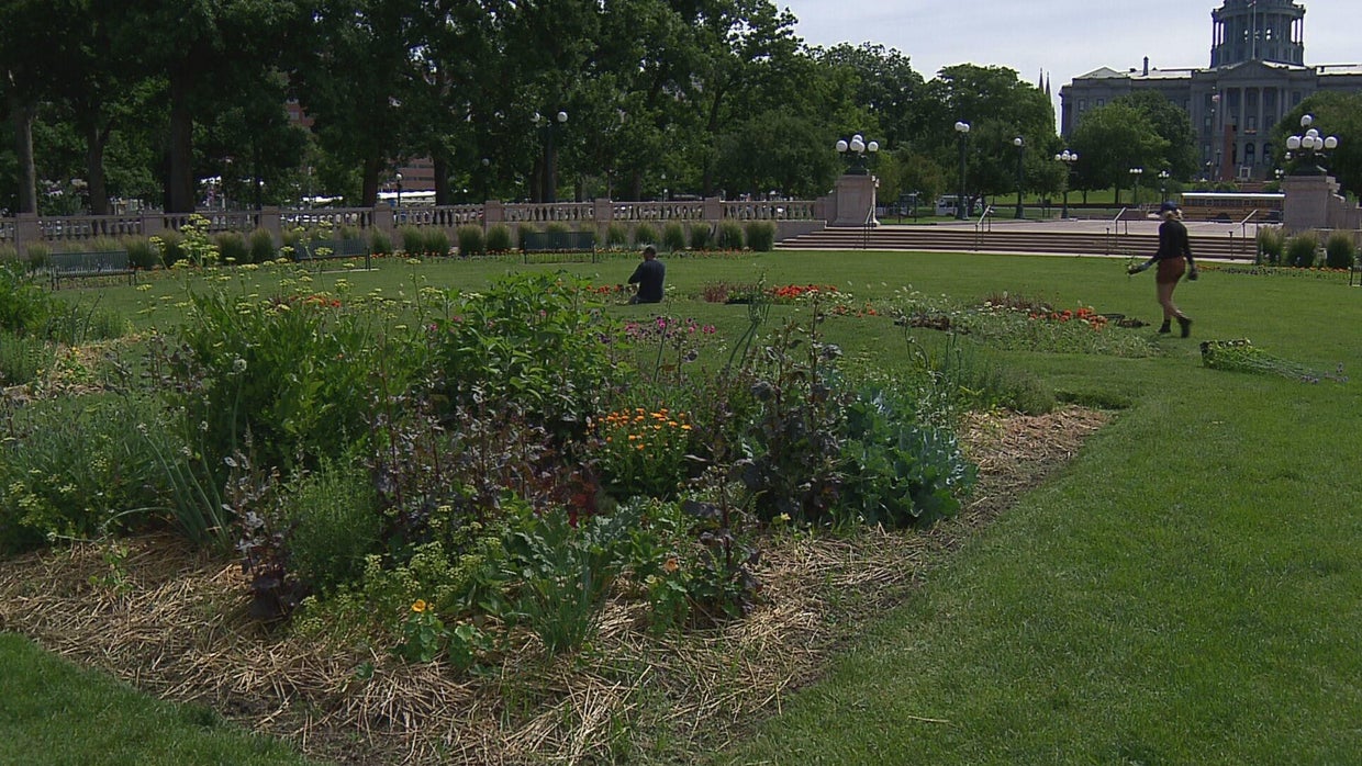 A walk in the park reveals a revitalized, beautiful Civic Center Park ...