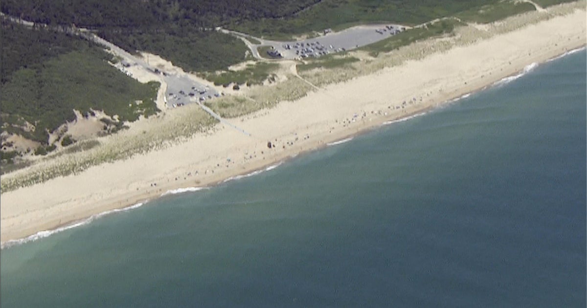 Great white shark spotted off Cape Cod beach - CBS Boston