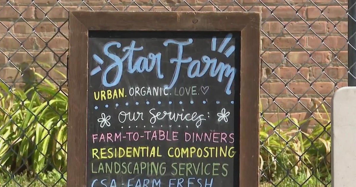 'There's been so many roadblocks': Star Farm Chicago in Back of the ...