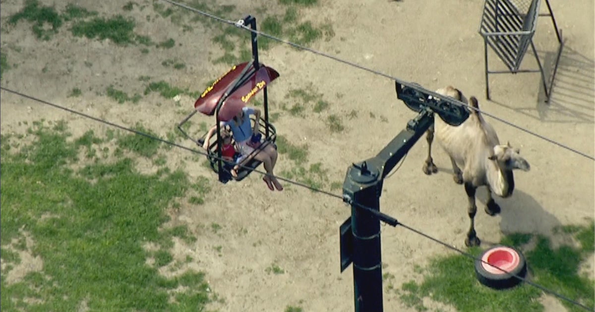 40 rescued from sky ride at Southwick's Zoo - CBS Boston