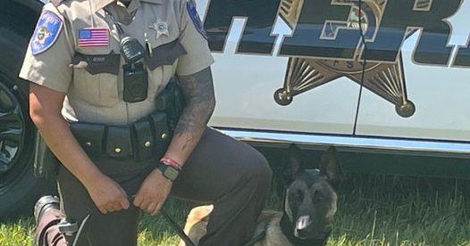 Anoka County police dog bites Isanti child - CBS Minnesota