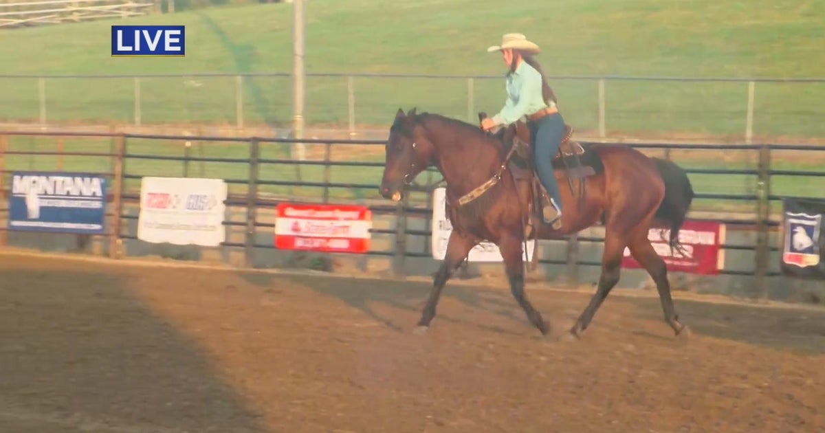 Hamel Rodeo is back in the saddle this weekend - CBS Minnesota