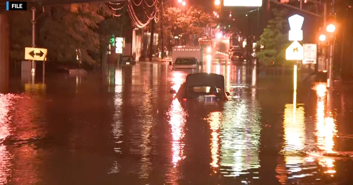 Brooklyn nonprofit maps the risk of wildfires and flooding - CBS New York