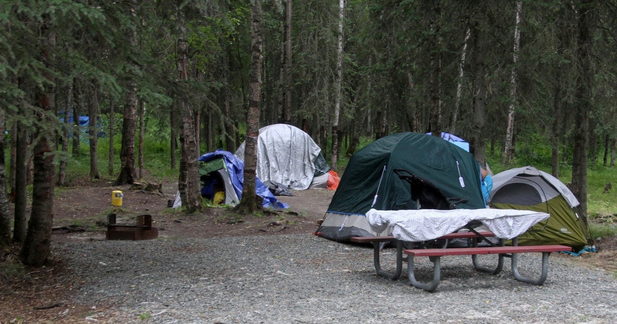 4 bears killed after stealing food from tents at Alaska campground ...