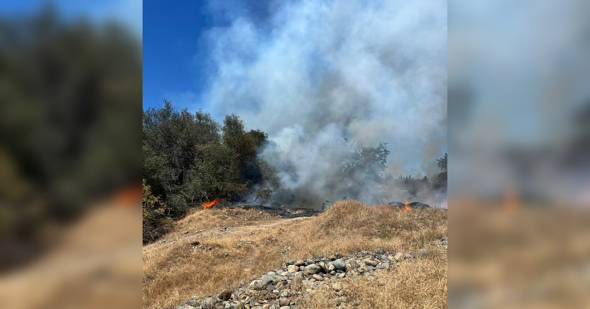 Crews Gain Control Of Fire Near Fish Hatchery Along American River ...