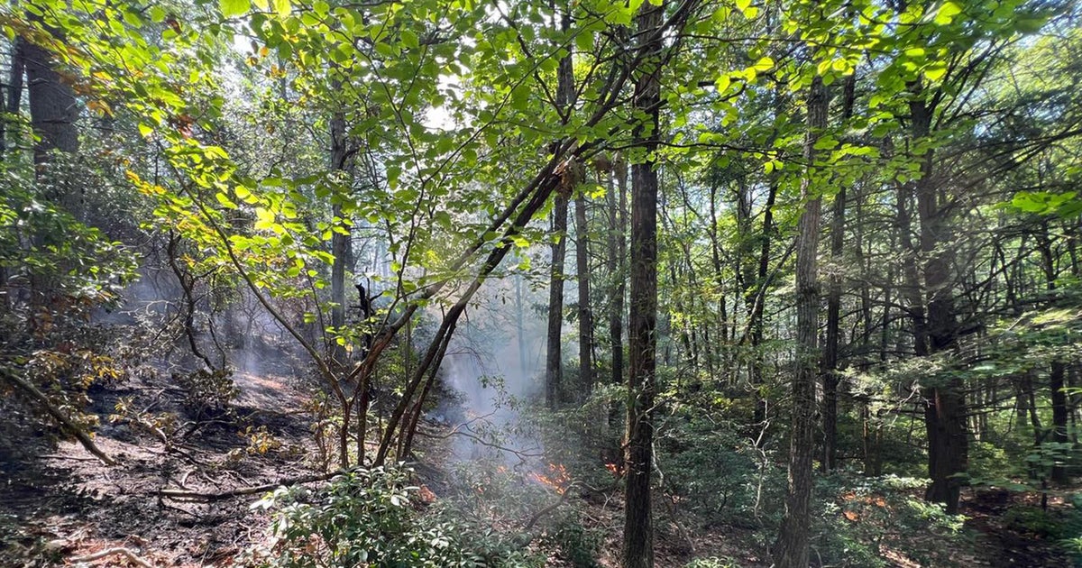 Townsend 'Old City' brush fire expected to burn for multiple days - CBS ...