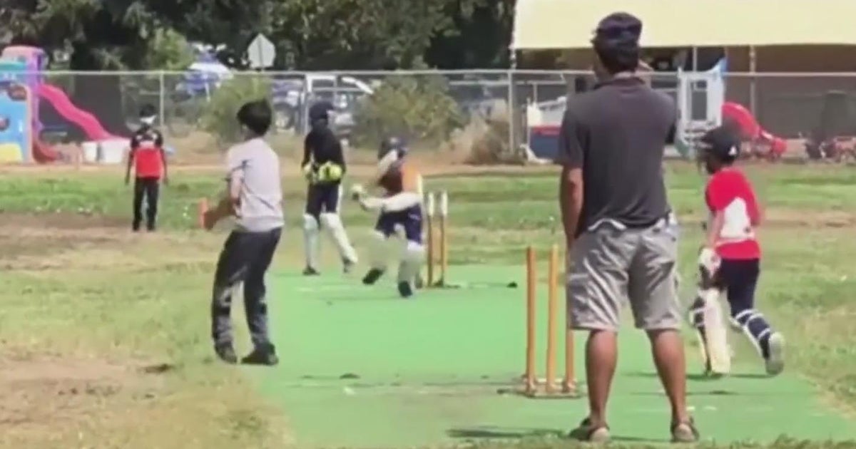 Cricket players getting more field options amid changing demographics ...