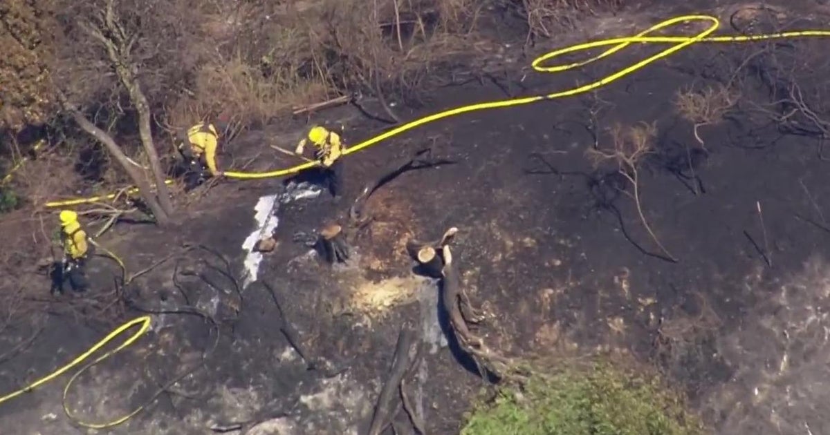 Update: Forward progress of brush fire near Highway 101 in Sausalito ...
