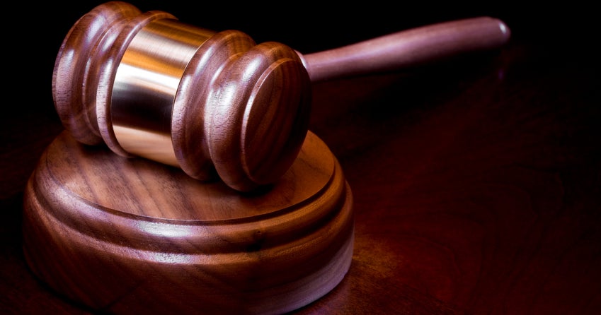 Warren council member pleads no contest to handcuffing woman over BLM ...