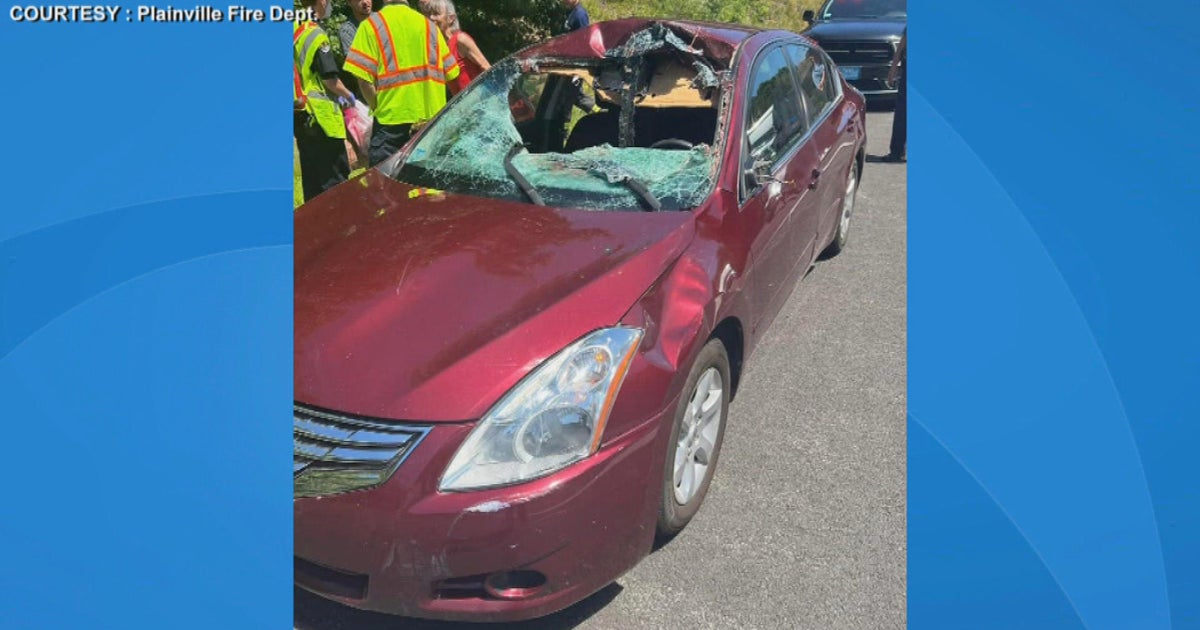 Deer crashes through windshield of car in Plainville - CBS Boston