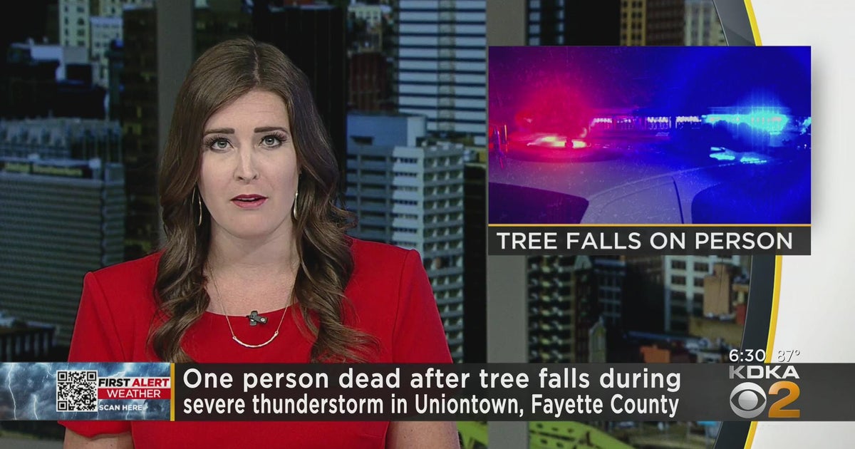 One dead after tree falls into trailer park - CBS Pittsburgh