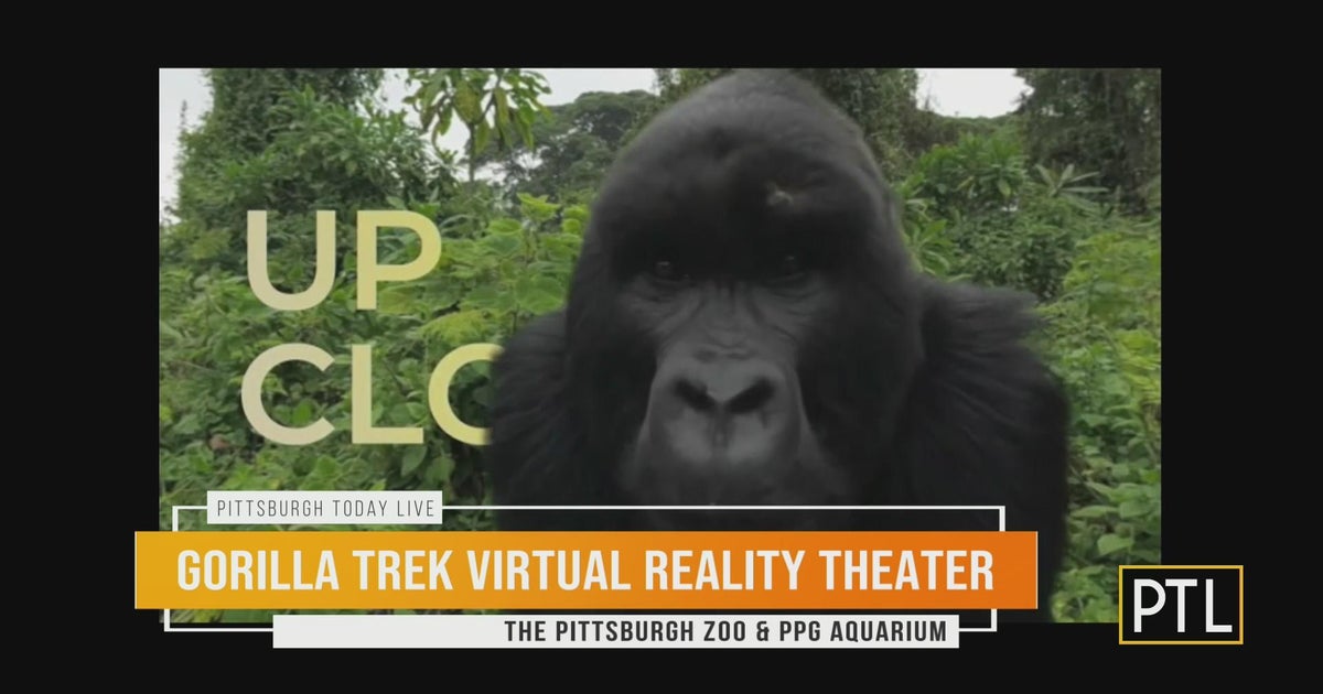 Pittsburgh Zoo's new VR experience puts you right in the jungle with ...