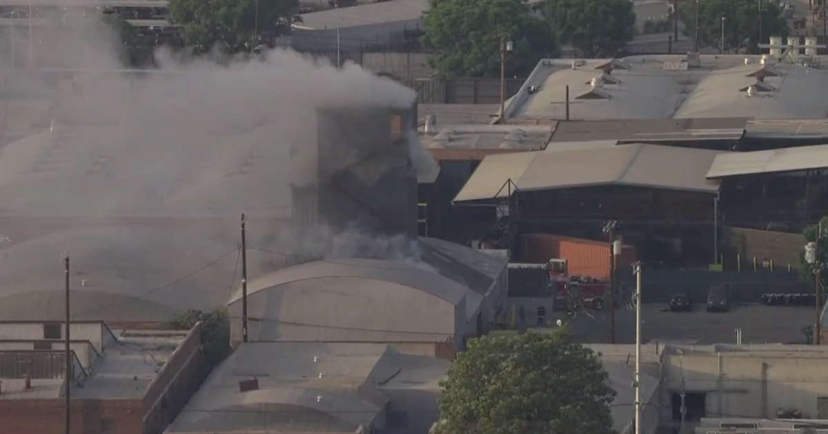 Building housing marijuana grow operation catches fire in South LA ...