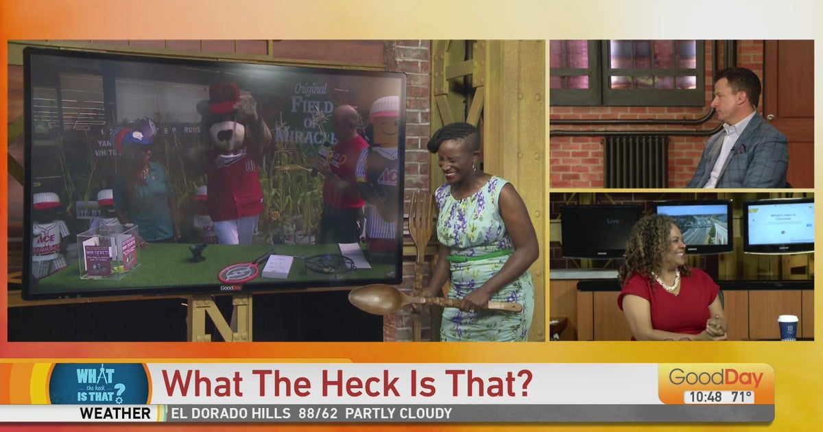 What the Heck is That? - 8/5, Part 2 - Good Day Sacramento