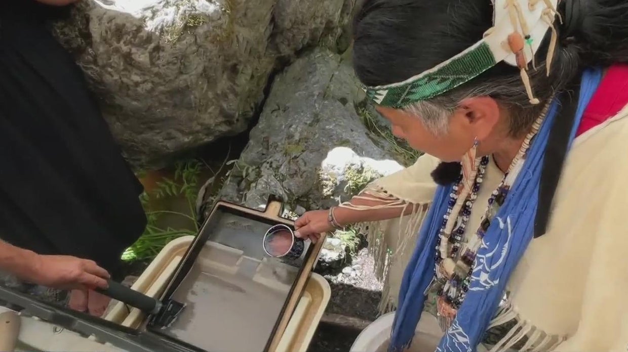 After 80 years, endangered Chinook salmon eggs return to McCloud River ...