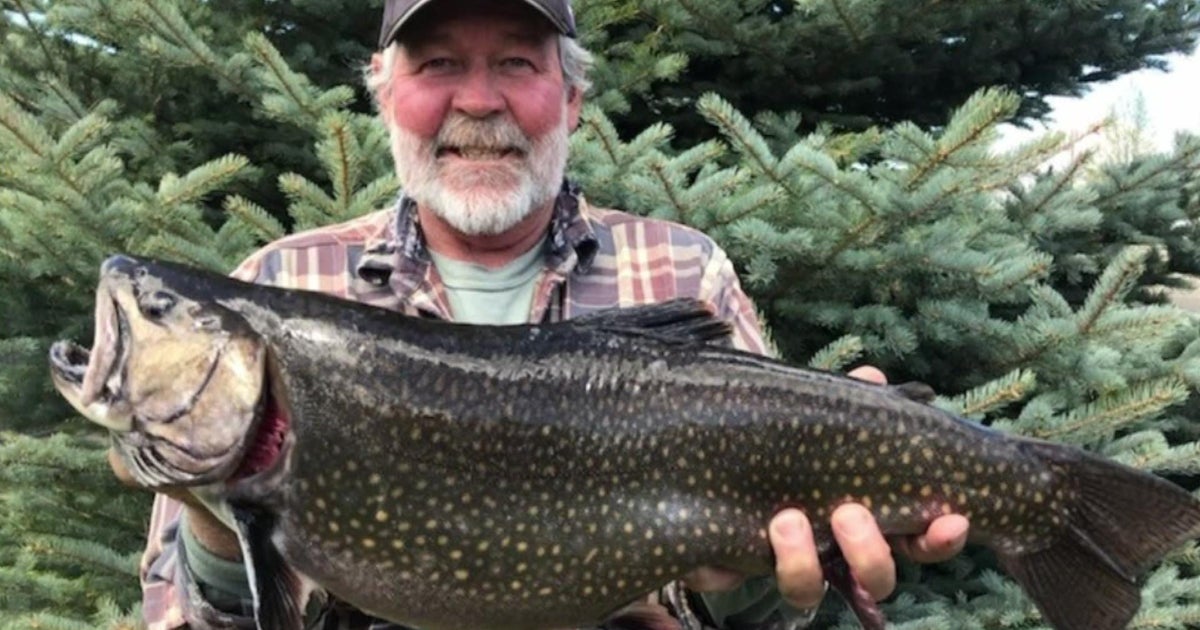 Brook trout catch breaks 75-year-old Colorado record - CBS Colorado