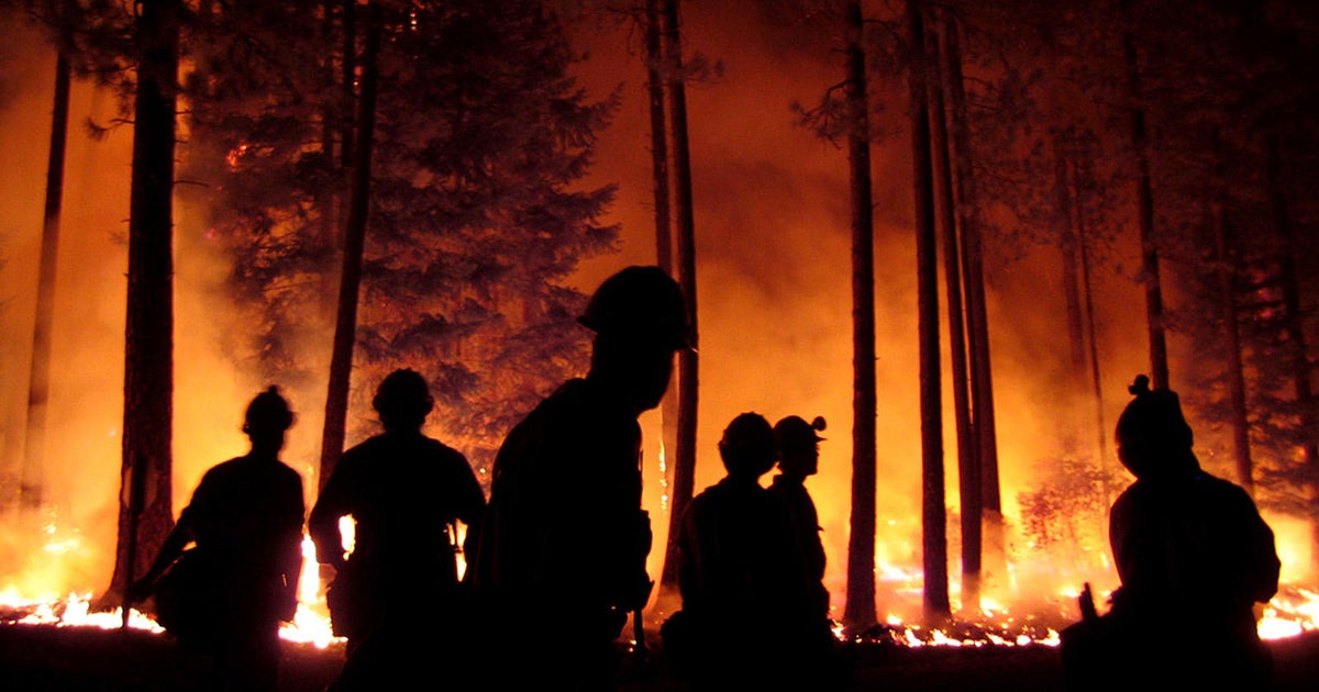 Colorado wildland firefighter from Craig hotshot crew killed while ...