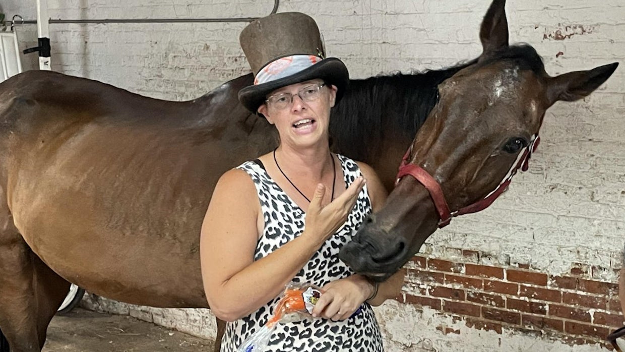 Ryder, the carriage horse who collapsed on a New York City street in ...