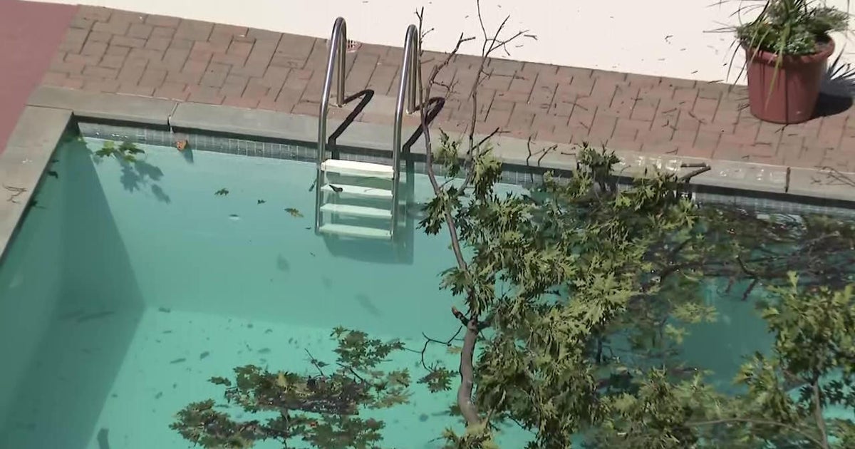 Shock and dismay lingers over Bronx community following death of woman ...