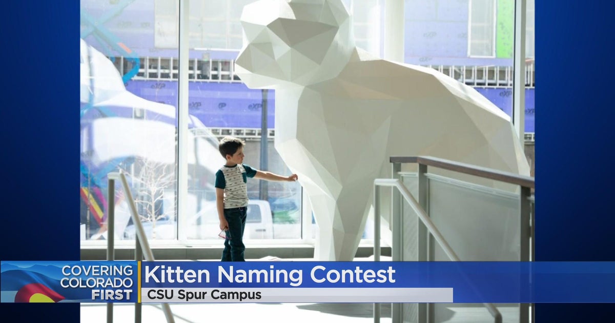 Help name the unofficial mascot at CSU's newest campus - CBS Colorado